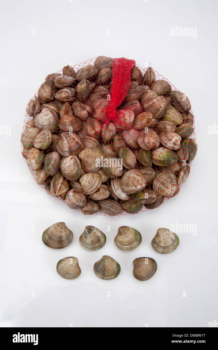 Clam shell hi-res stock photography and images - Alamy