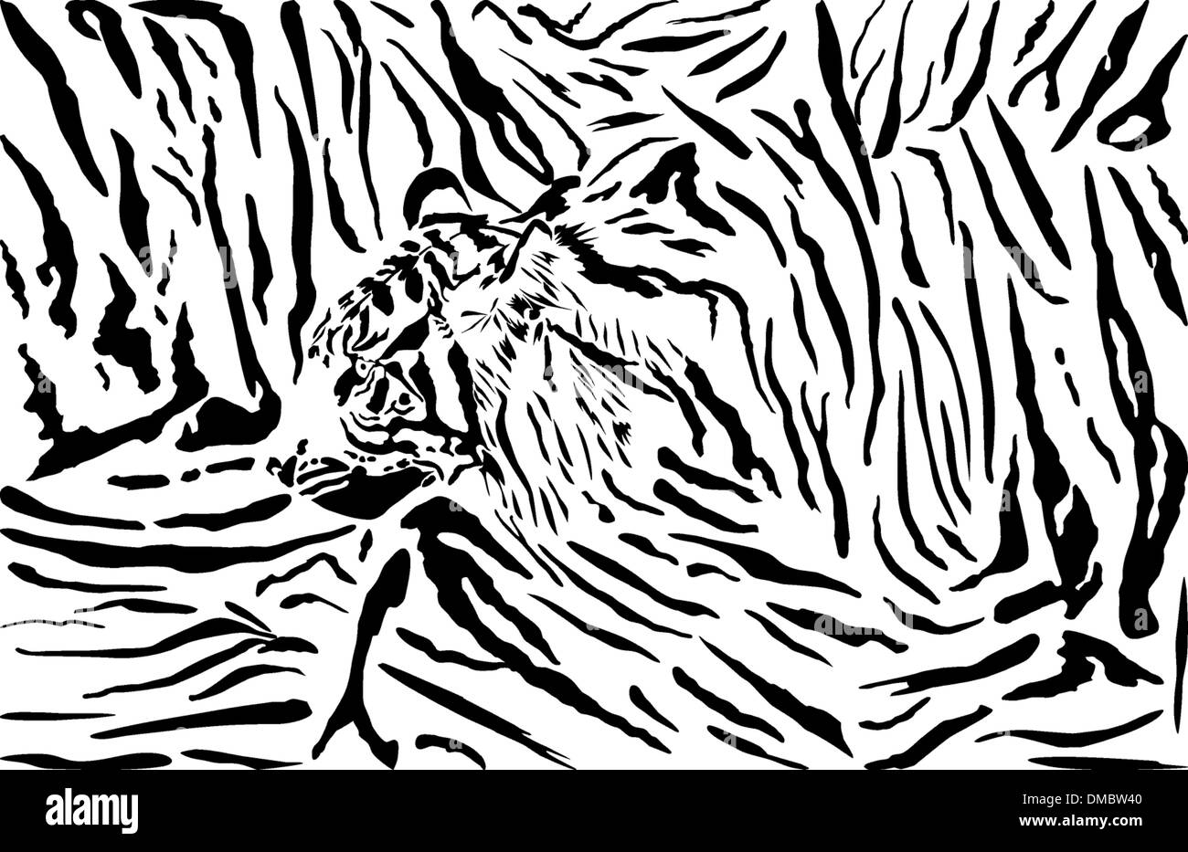 Black And White Tiger Pattern