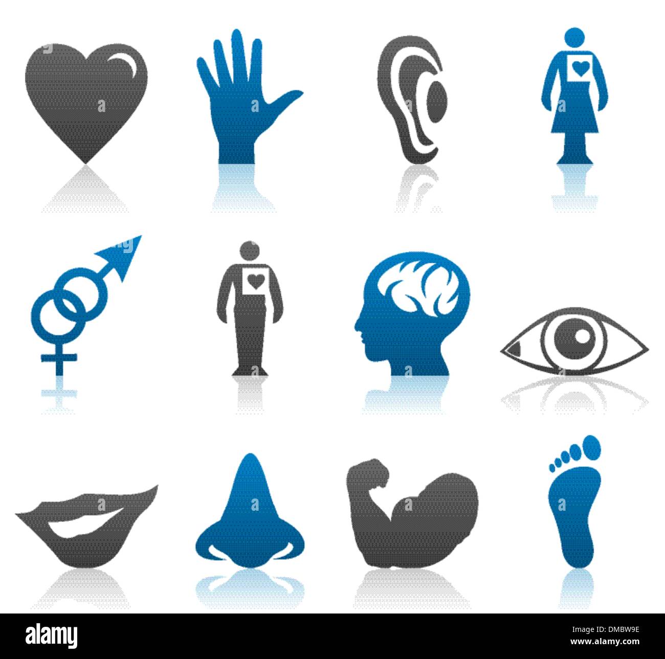 Icons of parts of a body Stock Vector Image & Art - Alamy