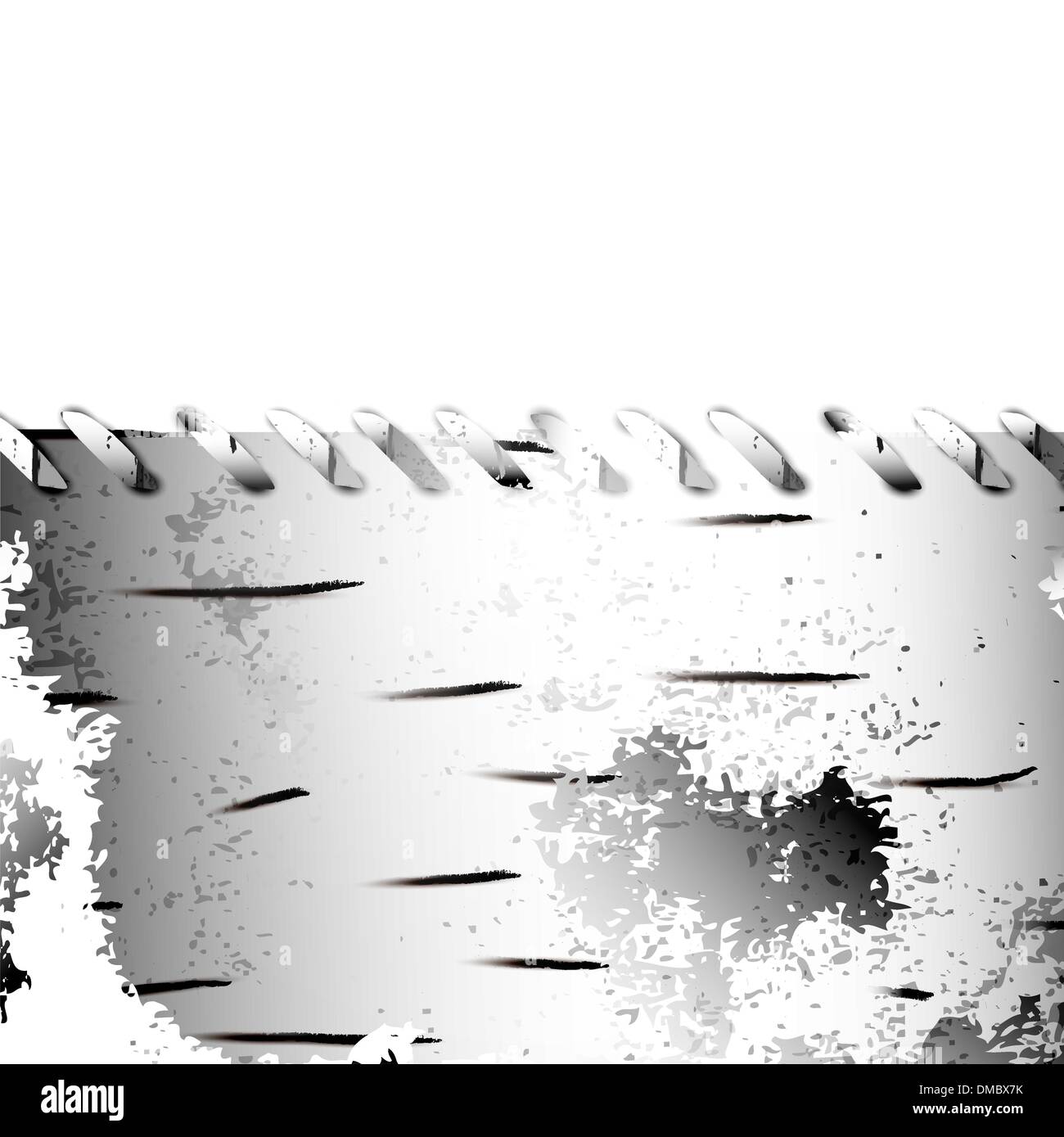 Birch bark vector vectors hi-res stock photography and images - Alamy