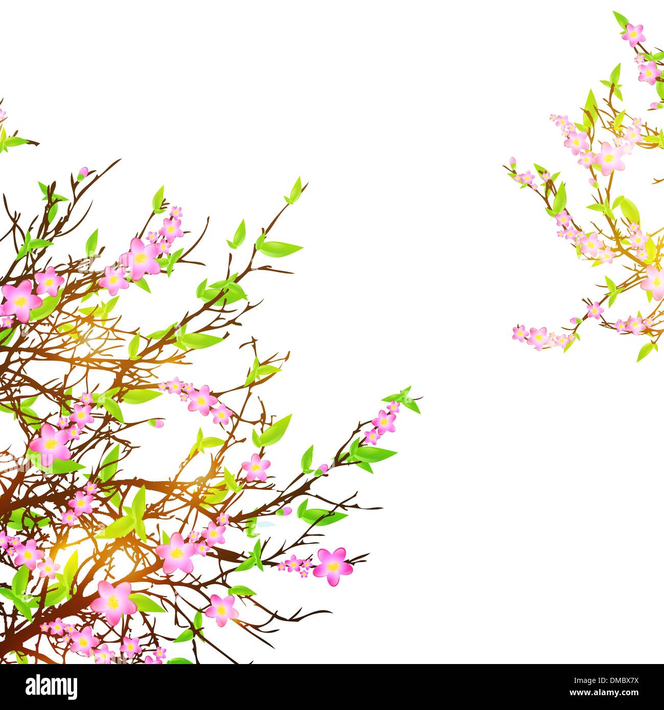 Cherry blossom illustration Stock Vector Images - Alamy