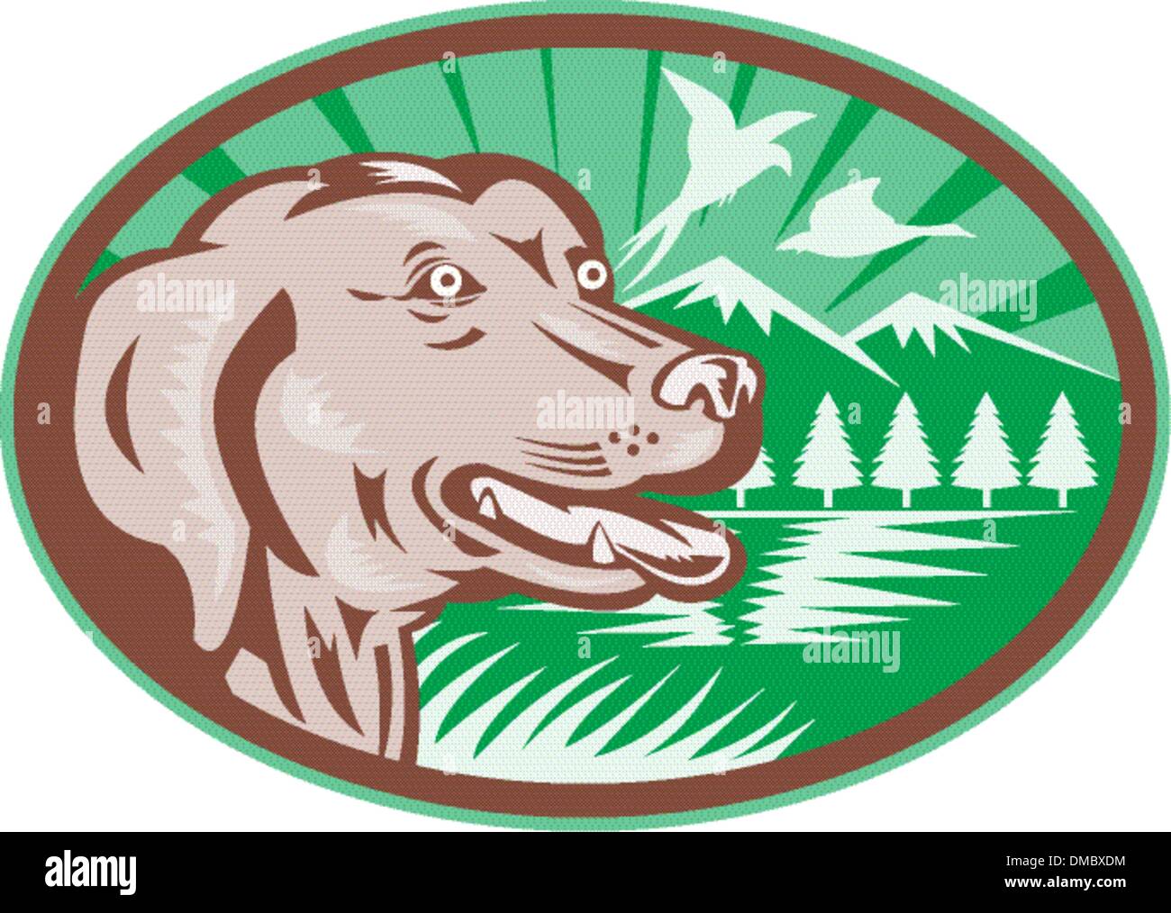 Labrador with pheasant Stock Vector Images - Alamy