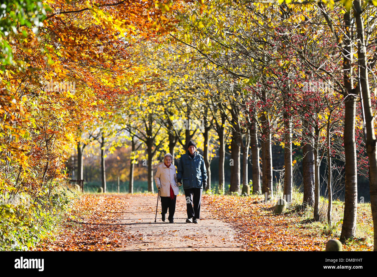 ELDERLY PEOPLE WALKING IN A PARK IN THE AUTUMN IN CAMBRIDGE Stock Photo ...