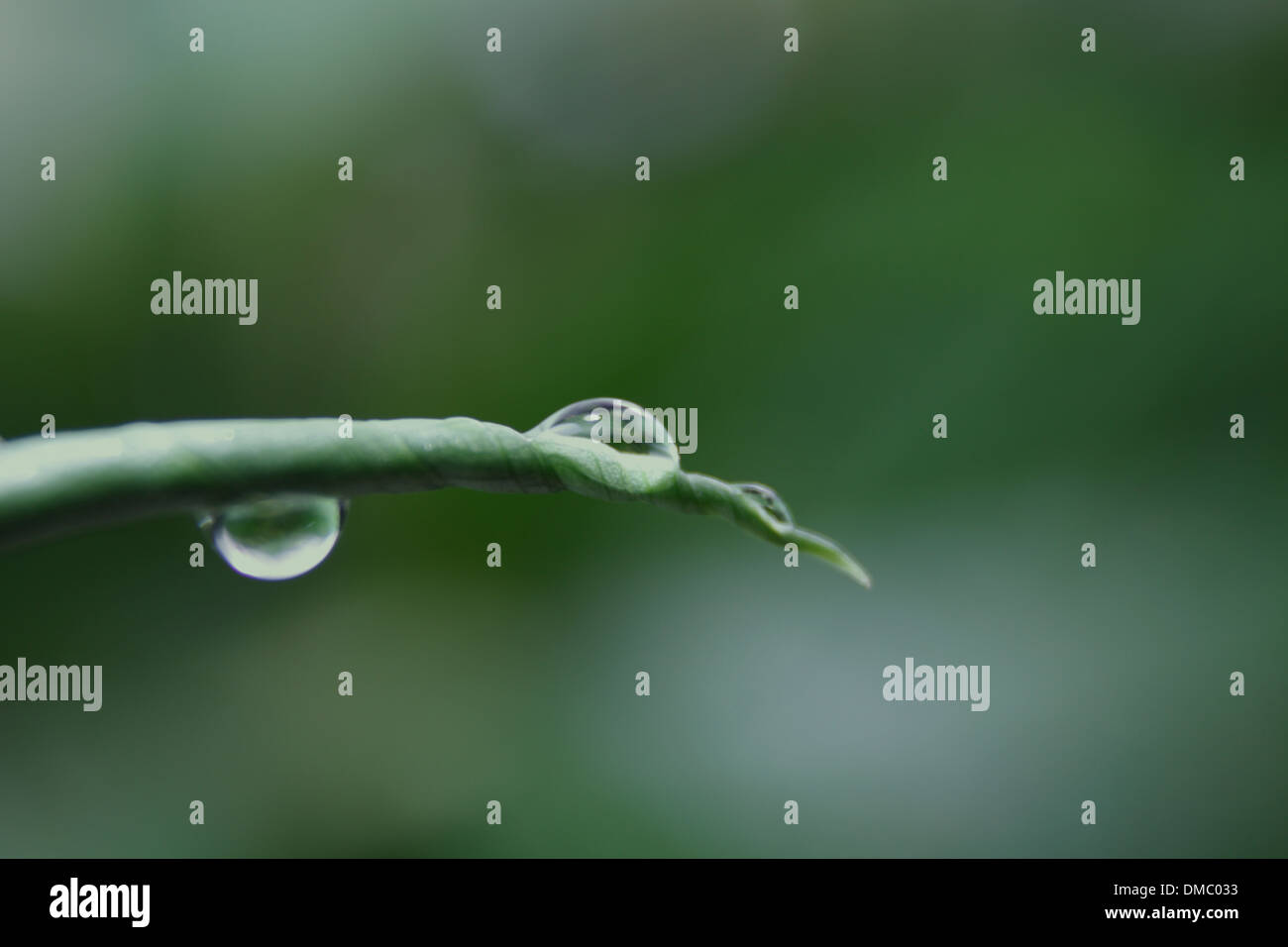 Drops falling into water hi-res stock photography and images - Alamy