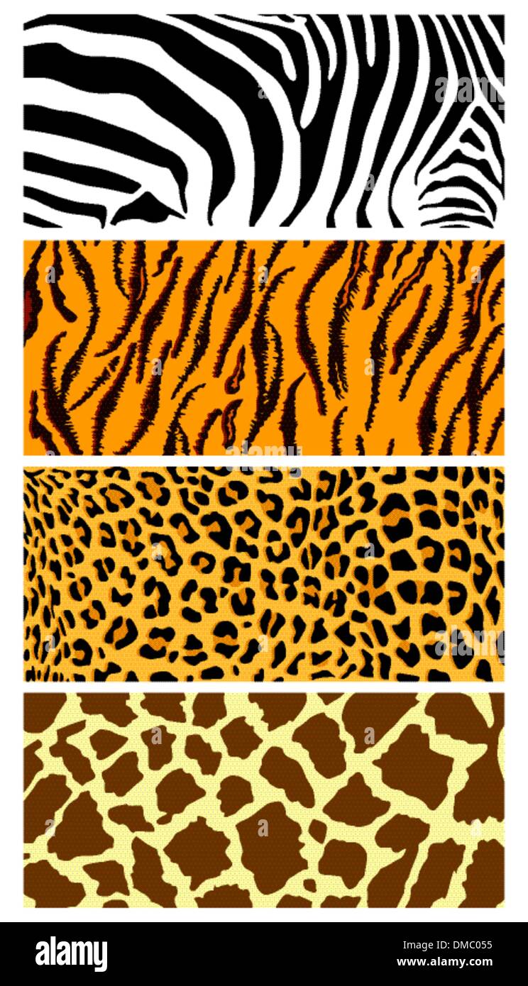 Animal coat color Stock Vector Images - Alamy