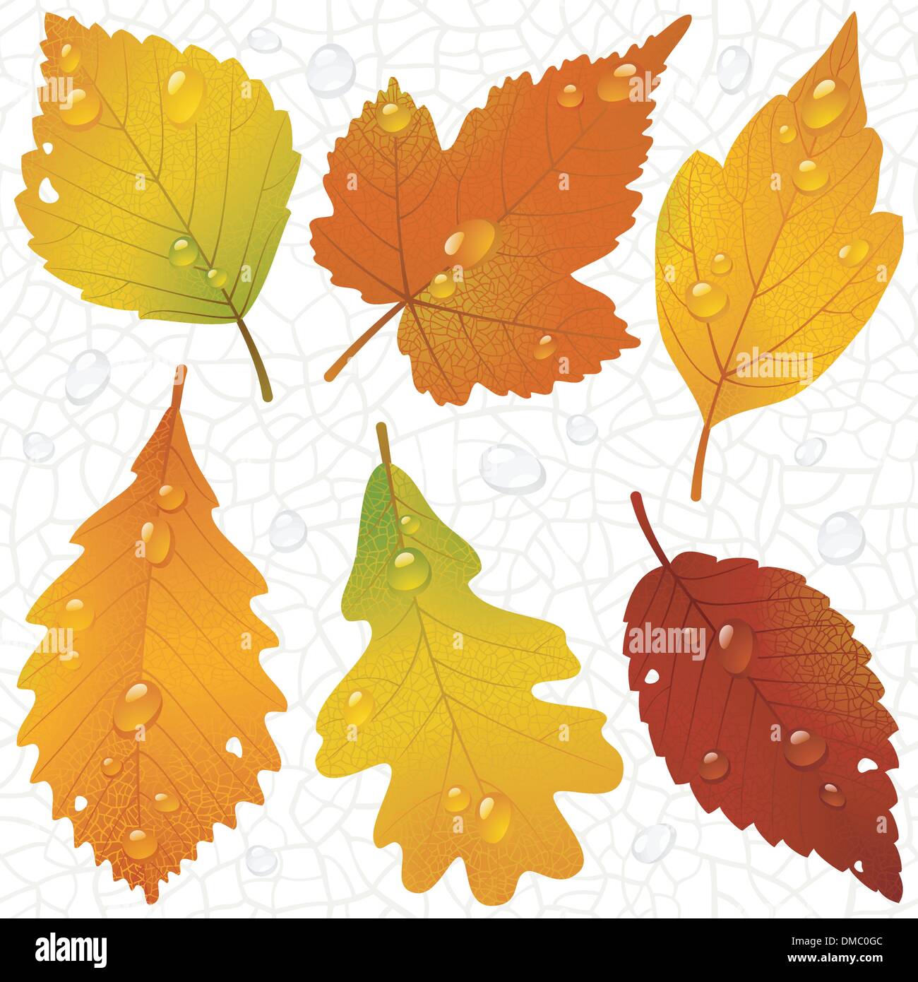 Vector autumn leaves and seamless vein background Stock Vector Image ...