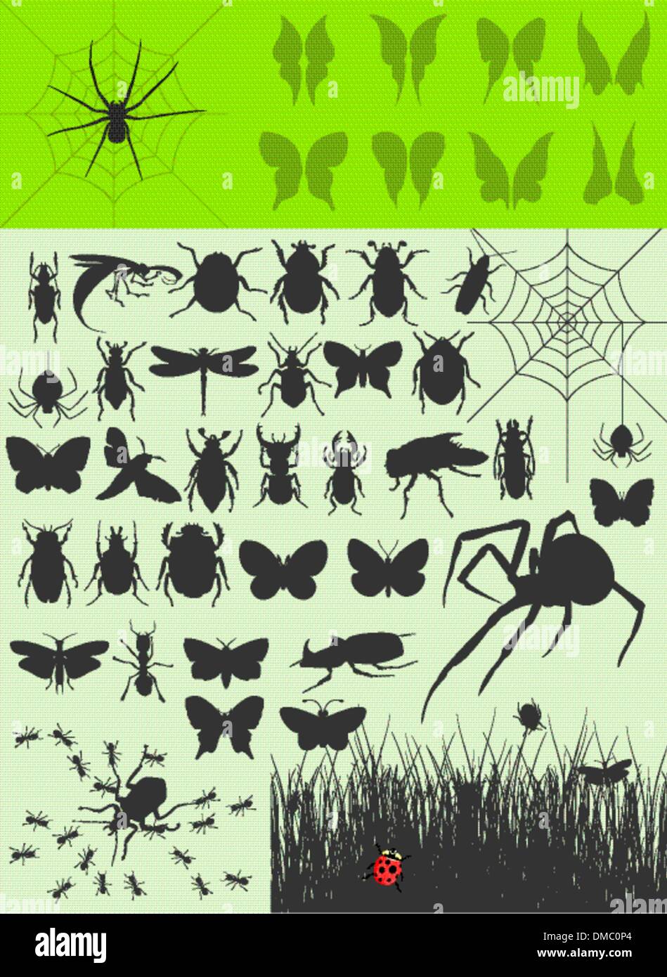 Collection of insects2 Stock Vector Image & Art - Alamy