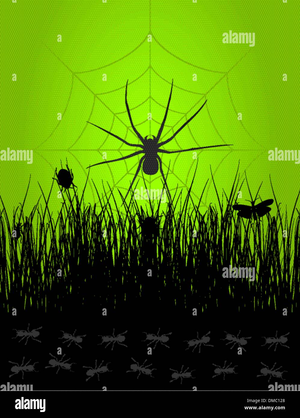 Spider3 Stock Vector Images - Alamy