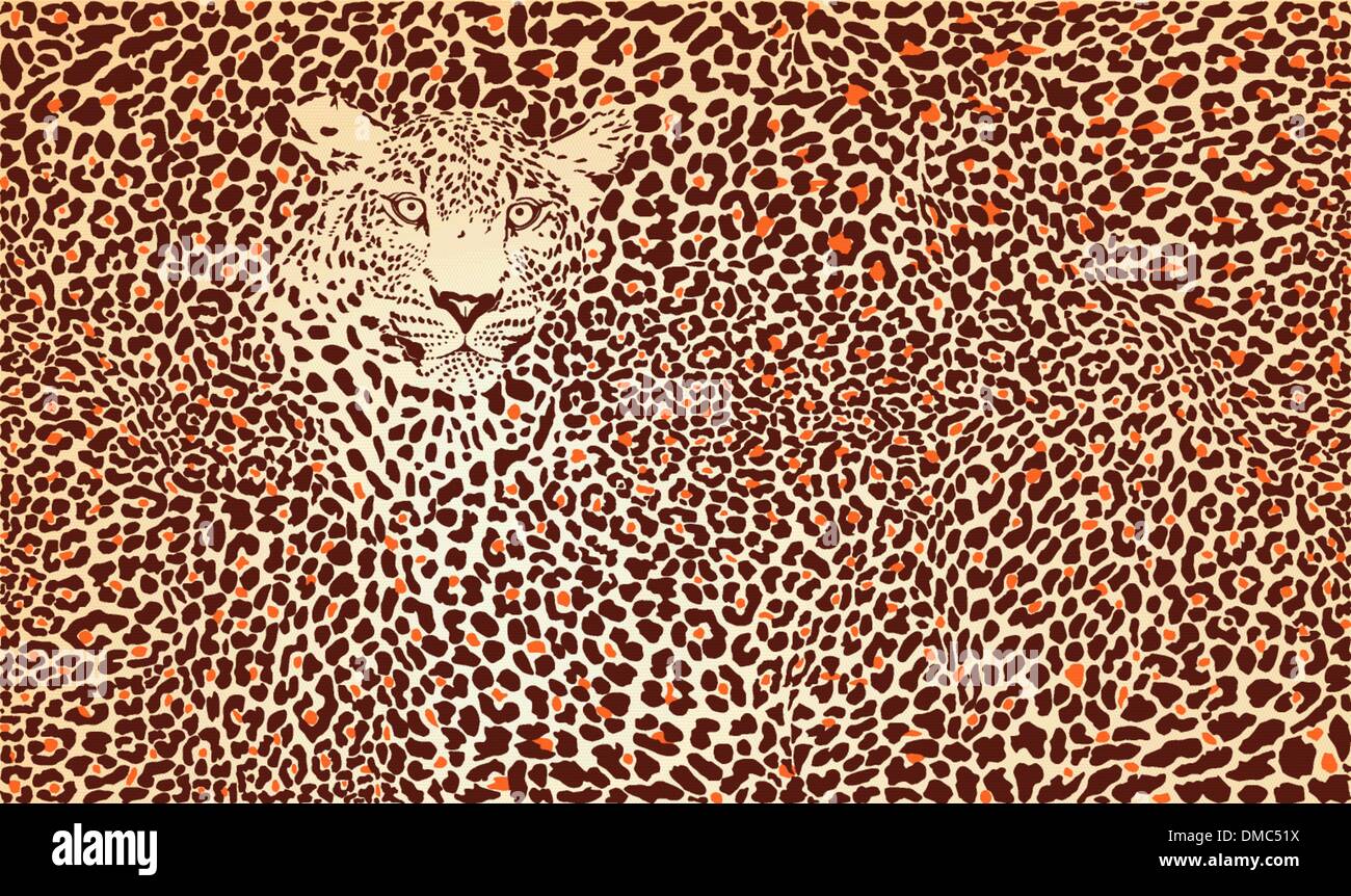 Pattern background leopard Stock Vector Image & Art - Alamy