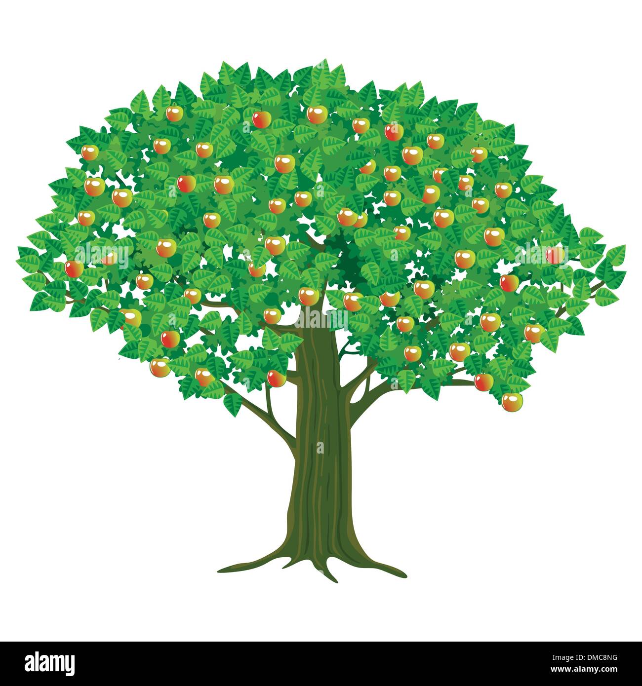Cultural Apple Tree Stock Vector Images Alamy
