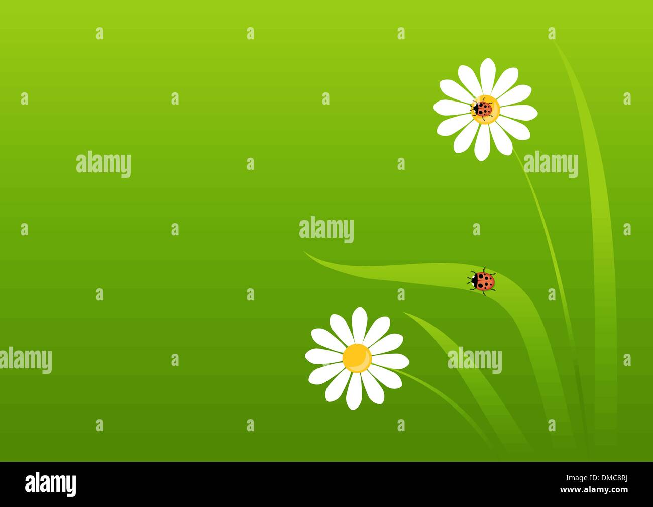 background with a ladybug Stock Vector Image & Art - Alamy
