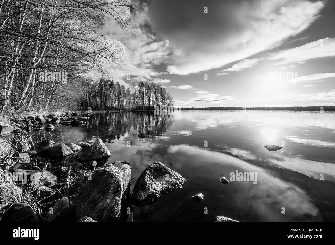 Trees reaching Black and White Stock Photos & Images - Alamy