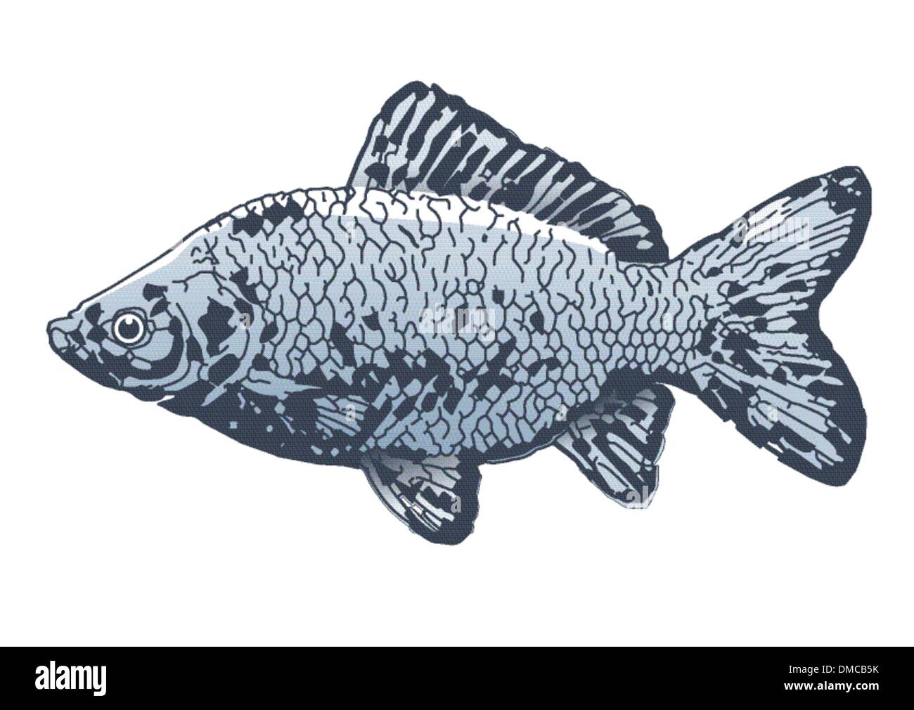 Koi carp vector vectors hi-res stock photography and images - Alamy