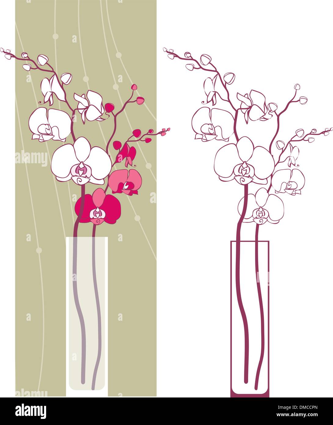 Spa orchids Stock Vector Images - Alamy