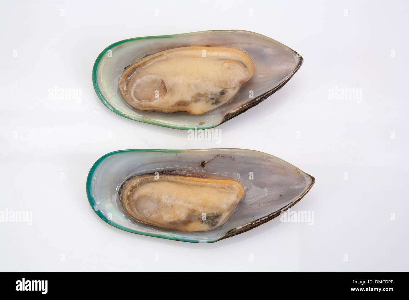Clam shell hi-res stock photography and images - Alamy