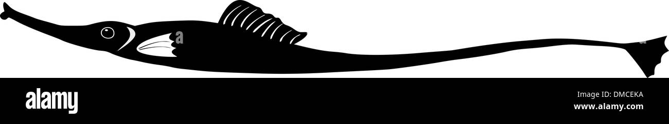 Silhouette of needlefish Stock Vector Image & Art - Alamy