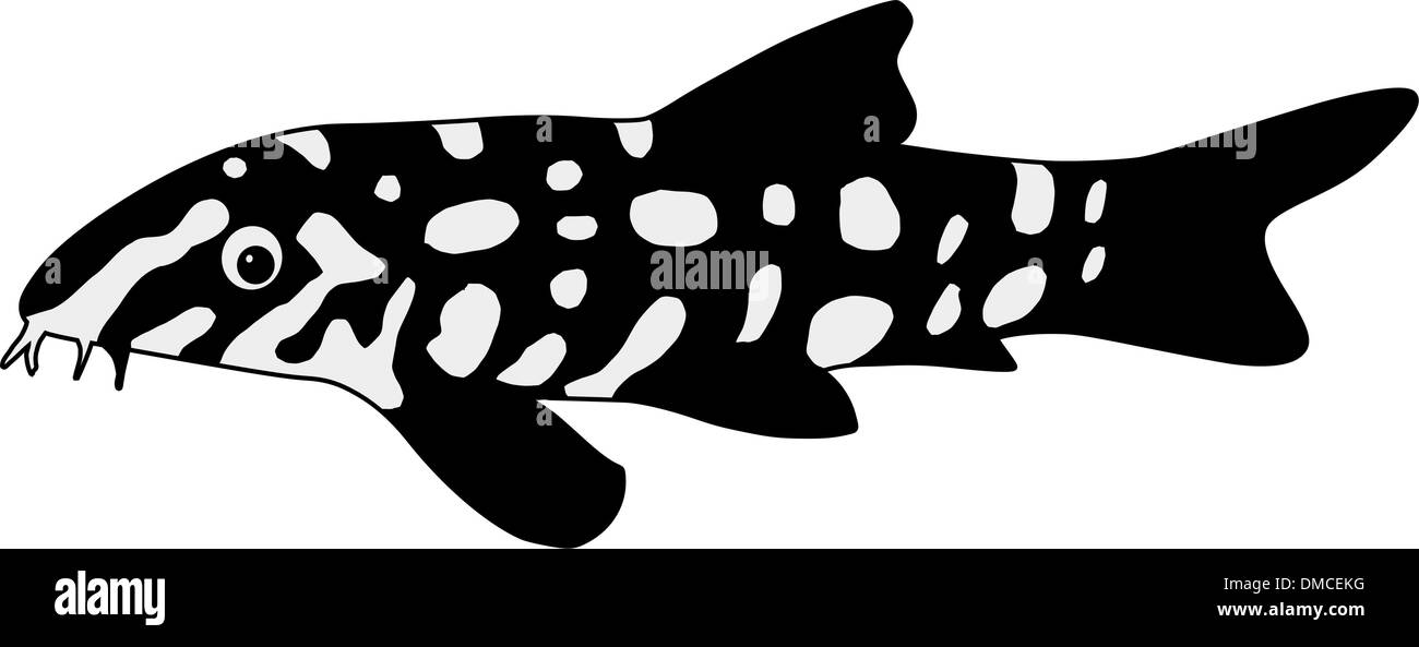 Loach Black and White Stock Photos & Images - Alamy