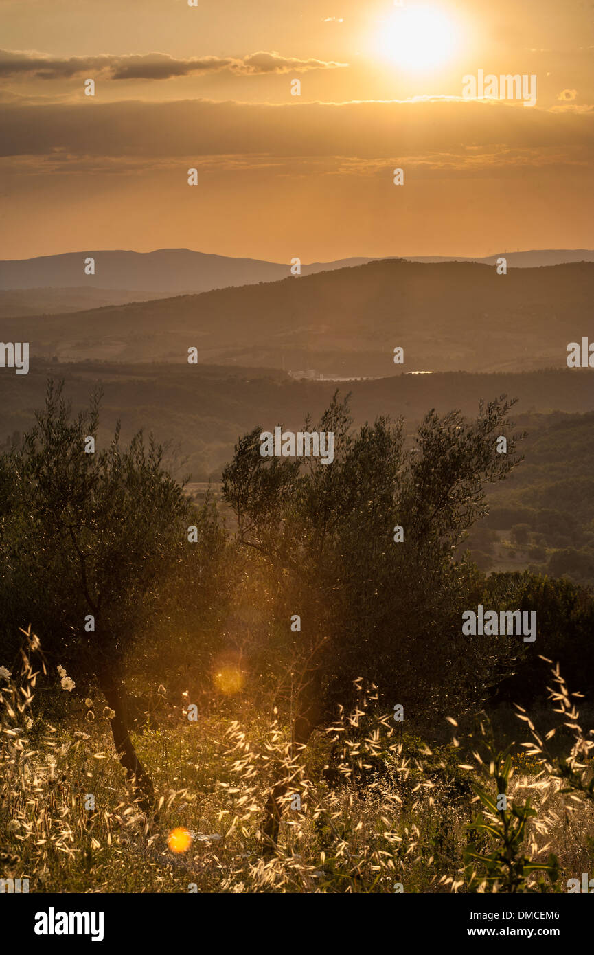 Dramatic tuscan sky hi-res stock photography and images - Alamy
