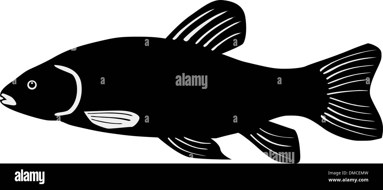 Silhouette of tench Stock Vector Image & Art - Alamy