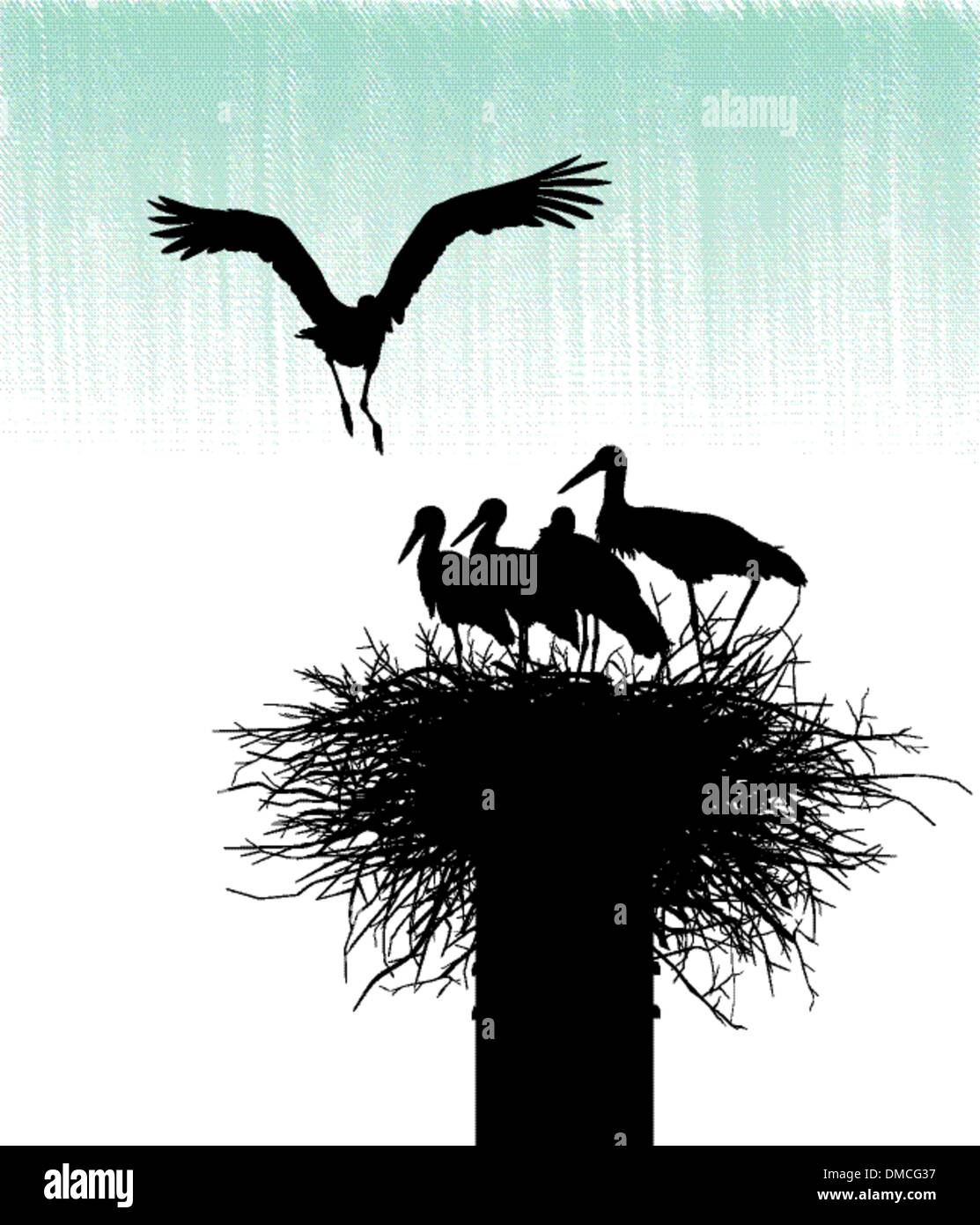 Family of storks in nest Stock Vector Image & Art - Alamy
