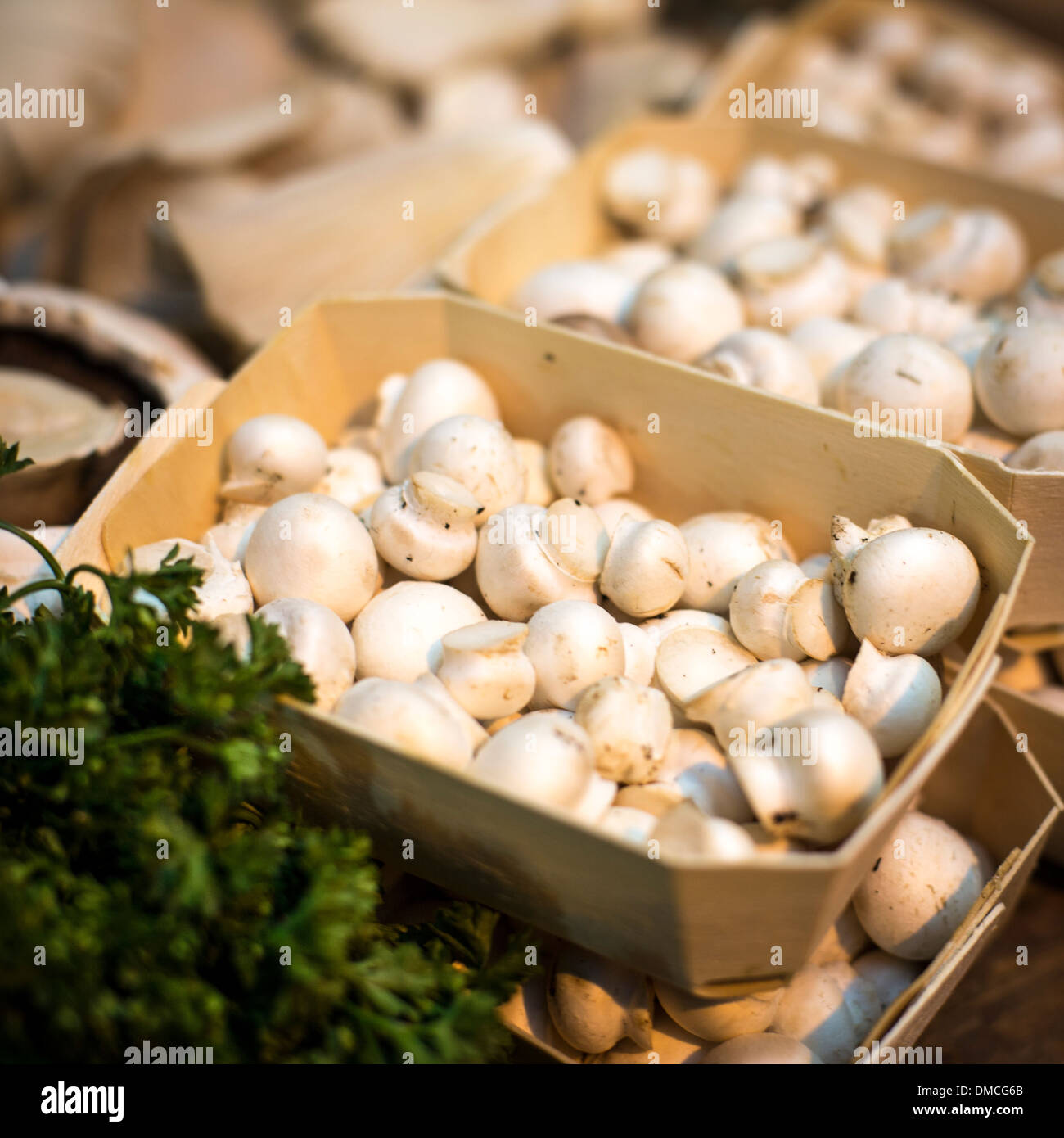 Tiny button mushrooms for sale at Borough Market Stock Photo - Alamy