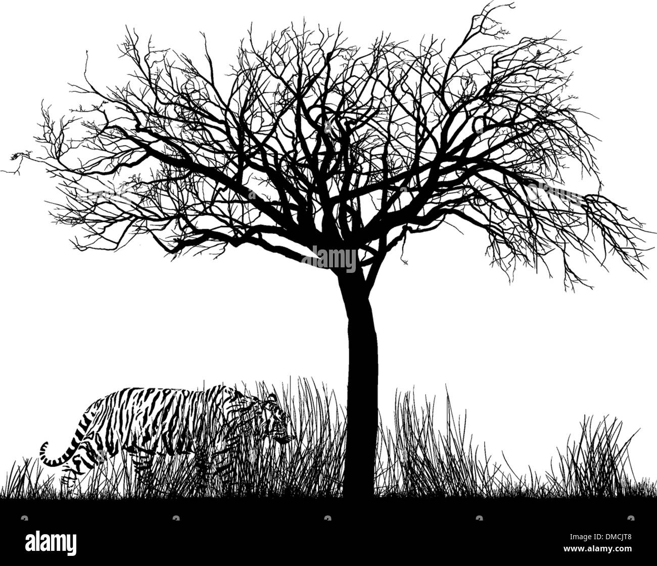 Tiger in tall grass Stock Vector Image & Art - Alamy