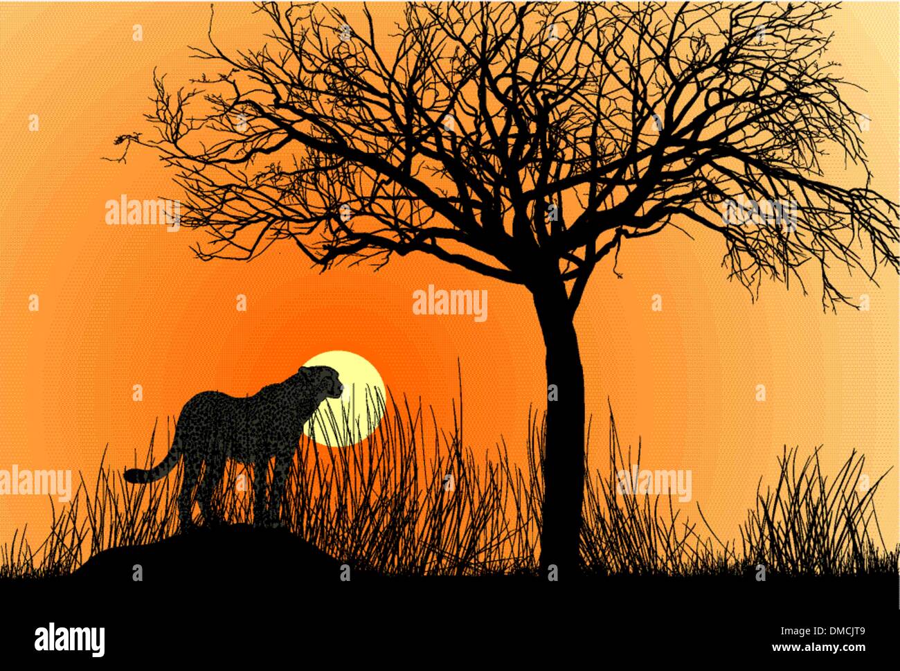 Cheetah and sunset Stock Vector Image & Art - Alamy