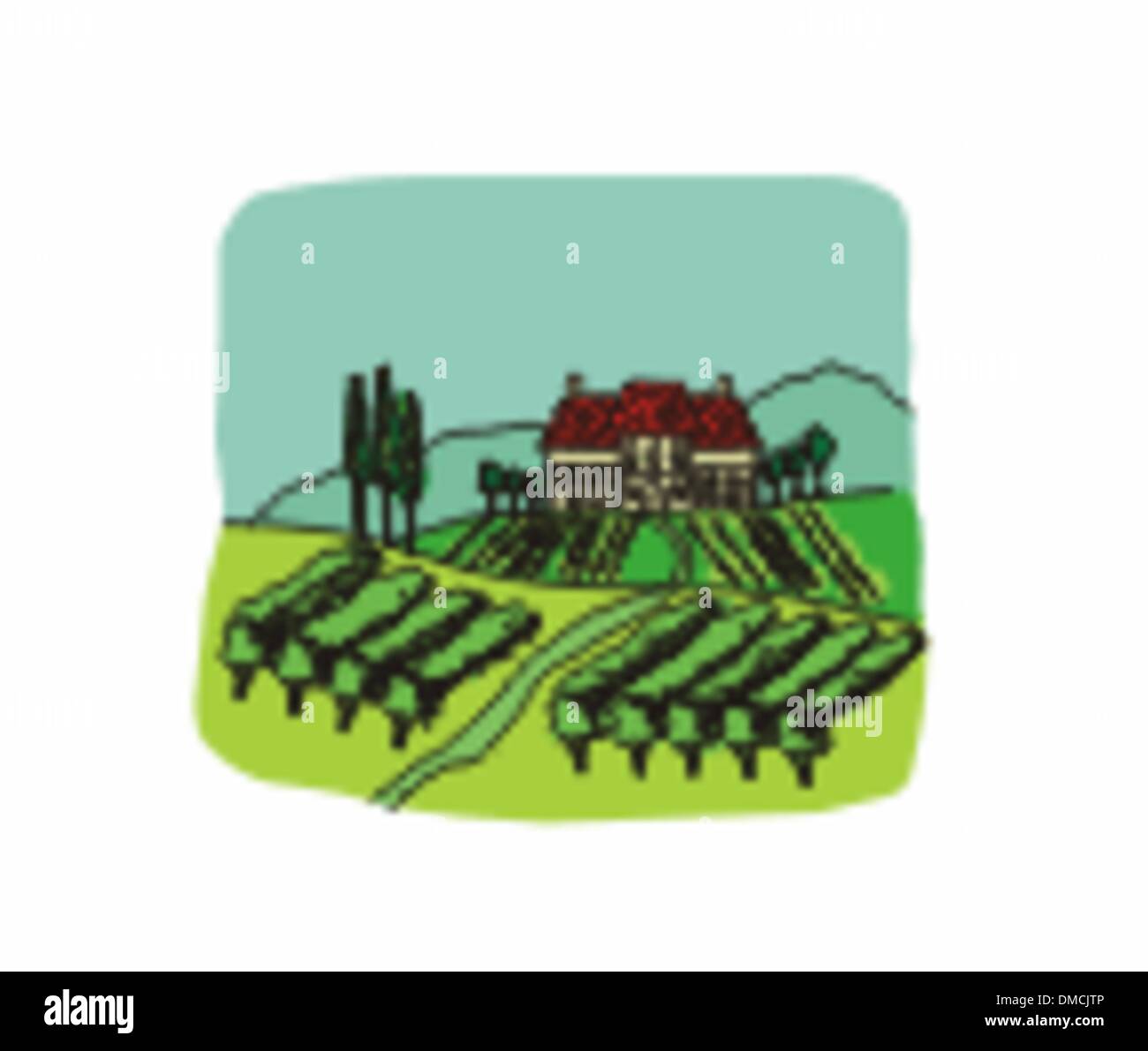 Vector illustration of vineyard Stock Vector Image & Art - Alamy