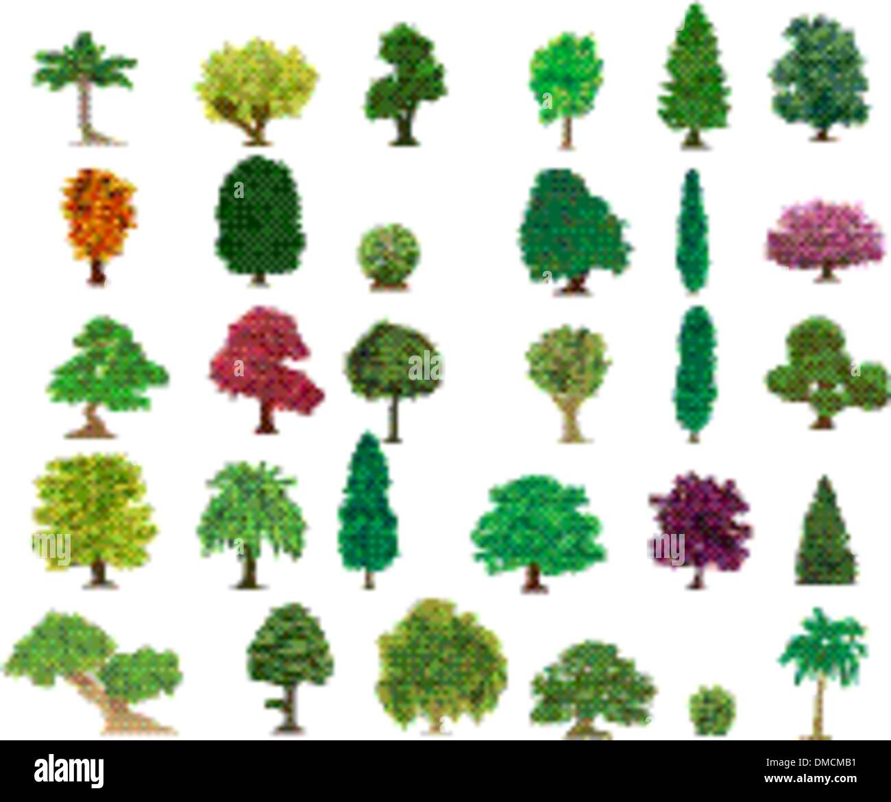 Different trees hi-res stock photography and images - Alamy
