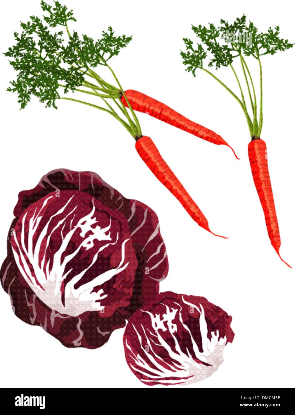 Red leafy vegetables Stock Vector Images - Alamy