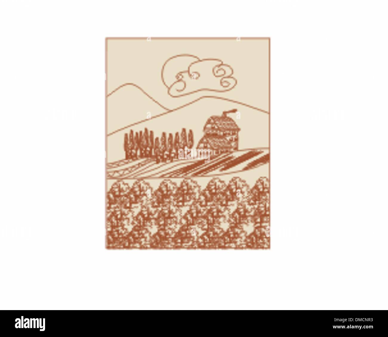 Vector illustration of vineyard Stock Vector Image & Art - Alamy