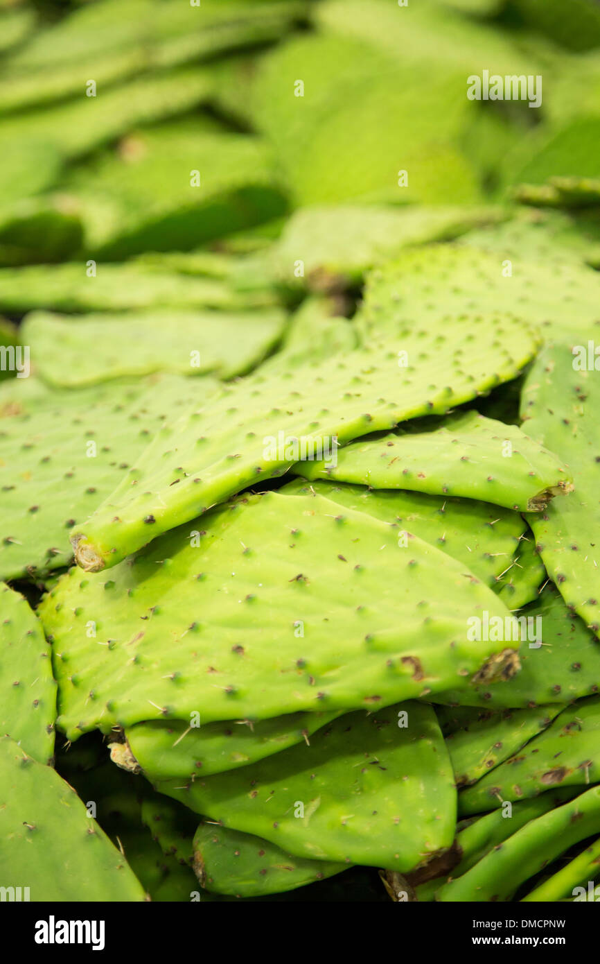 Fresh selection of nopáles Stock Photo - Alamy