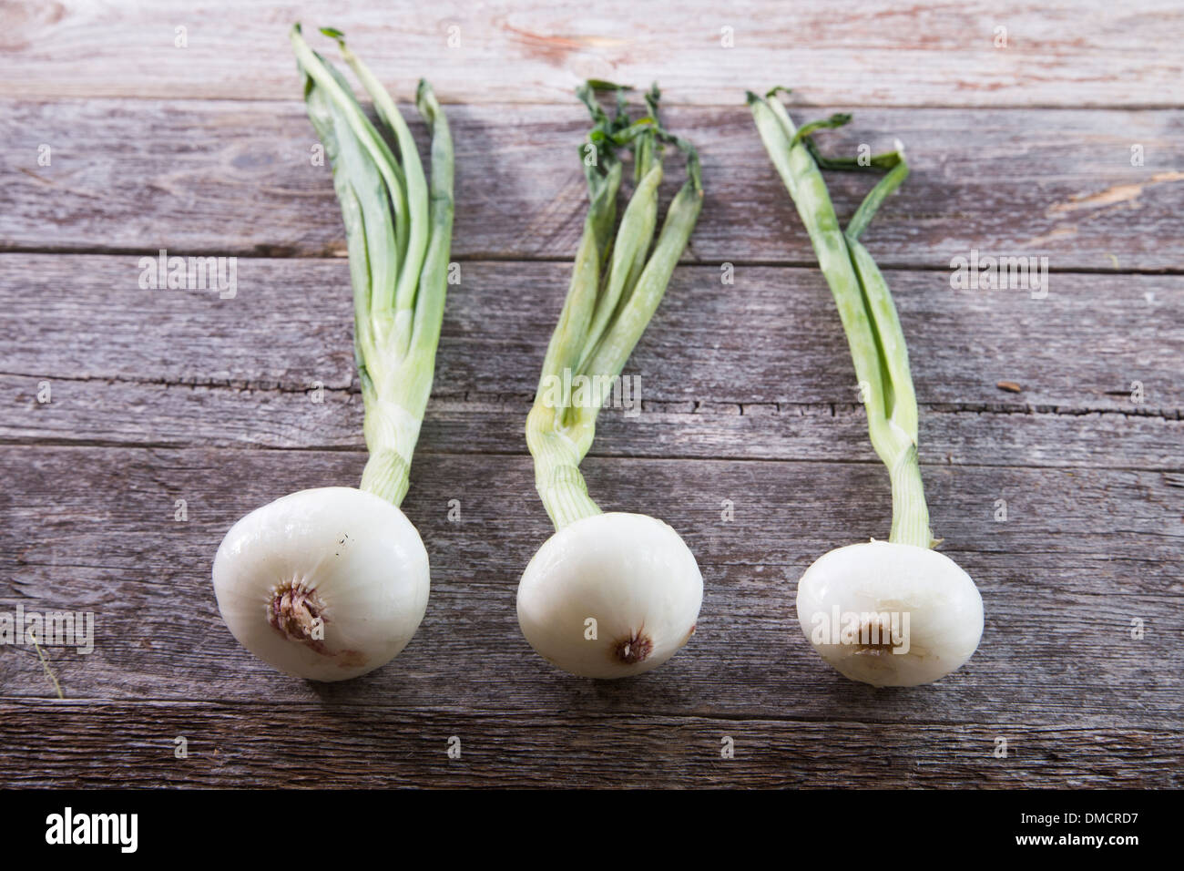 3 onions hi-res stock photography and images - Alamy
