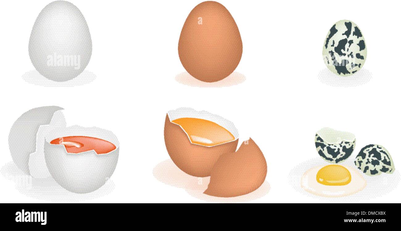An Illustration Set of Three Different Eggs Stock Vector Image & Art ...