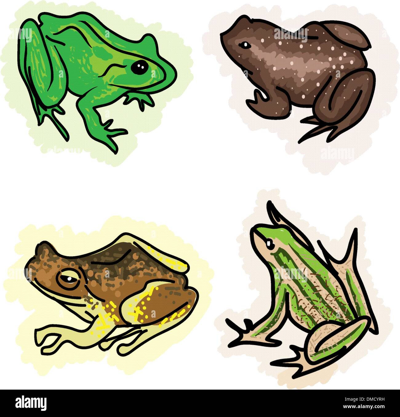 Visual type Cut Out Stock Images & Pictures - Alamy