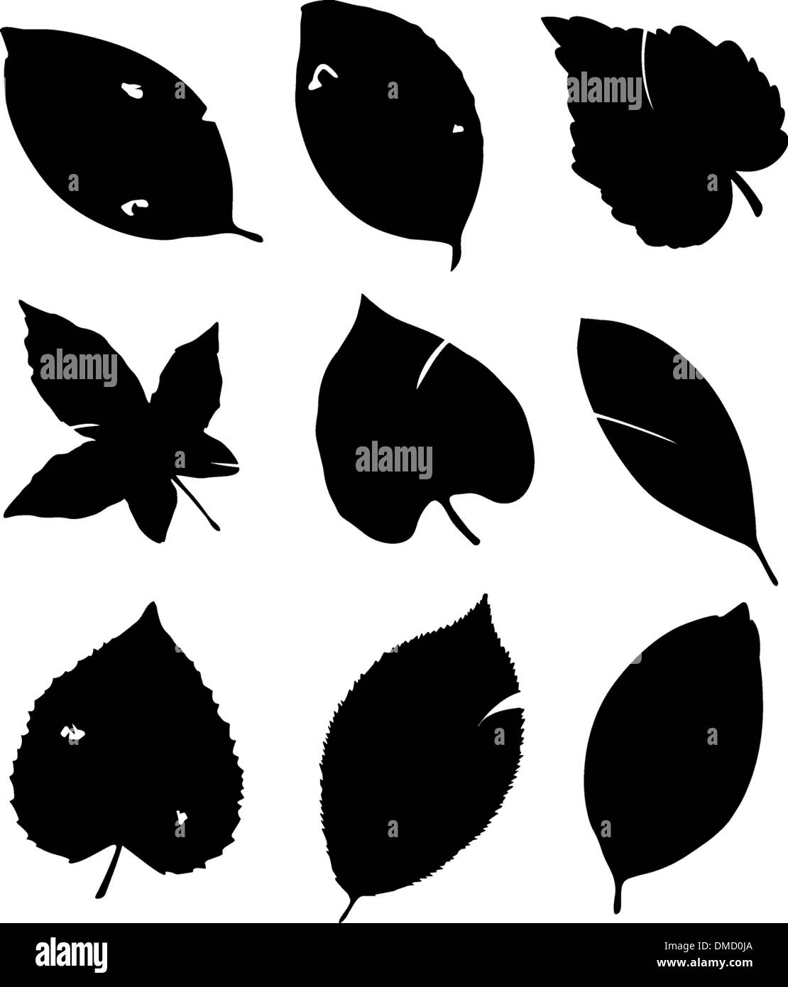Vector natural leaves seamless Black and White Stock Photos & Images ...