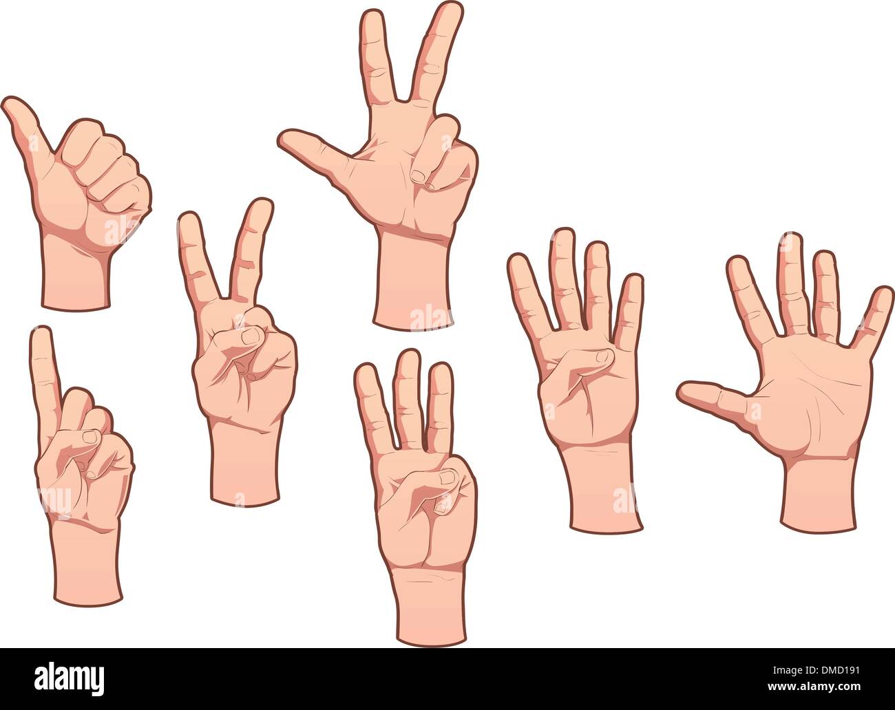 Anatomy back human hand Stock Vector Images - Alamy