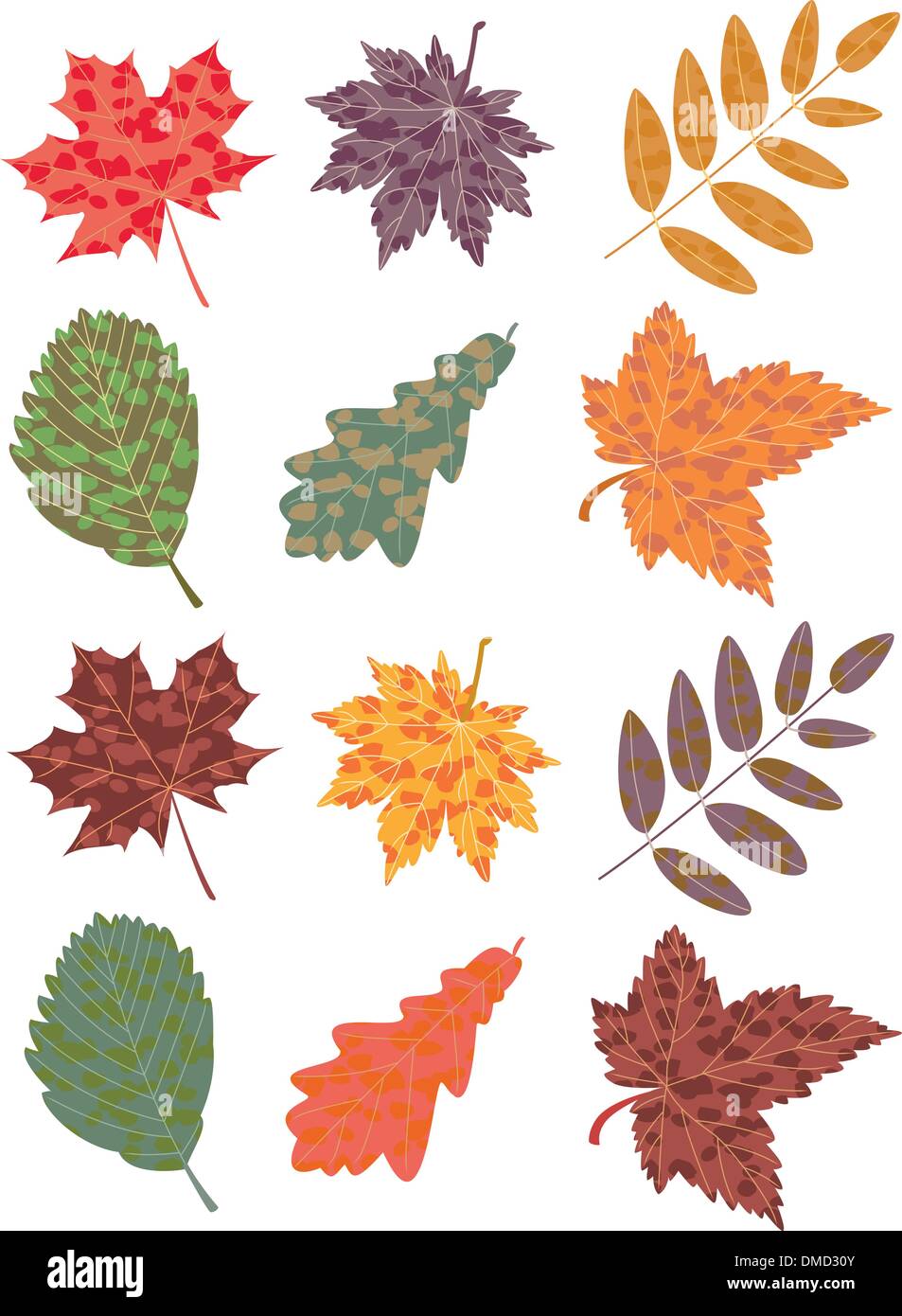 vector fall leaves Stock Vector Image & Art - Alamy