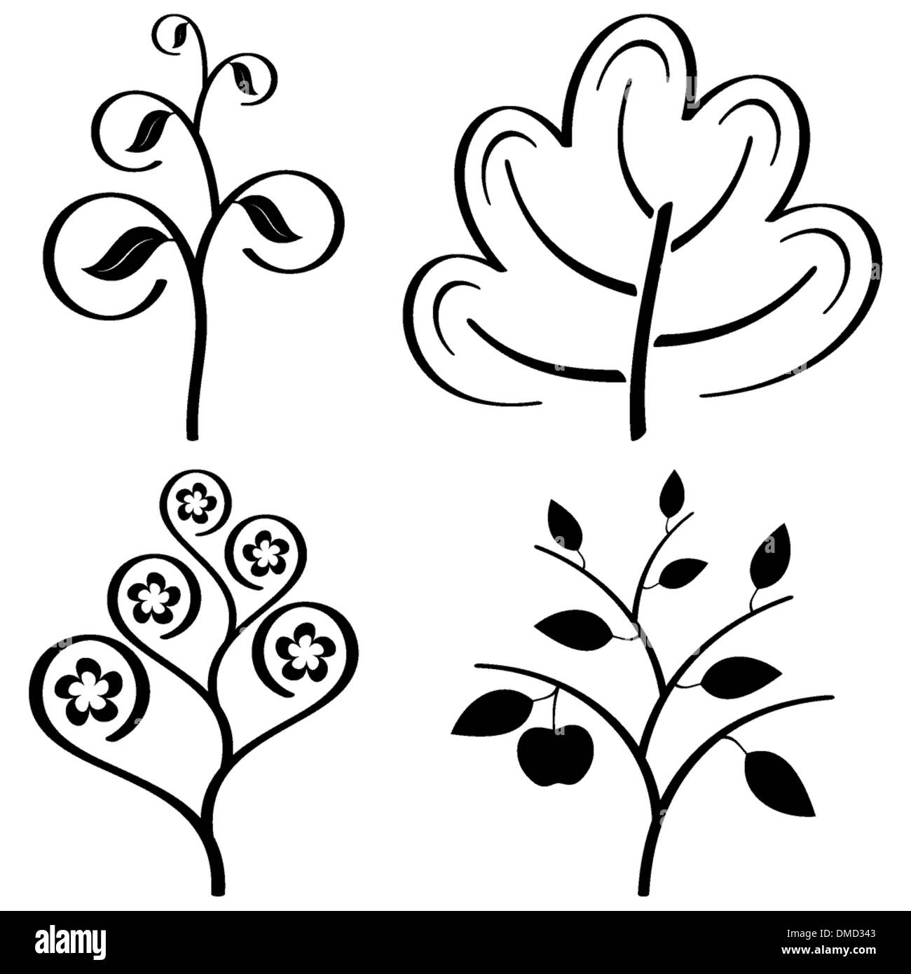 Japanese Pencil Tree