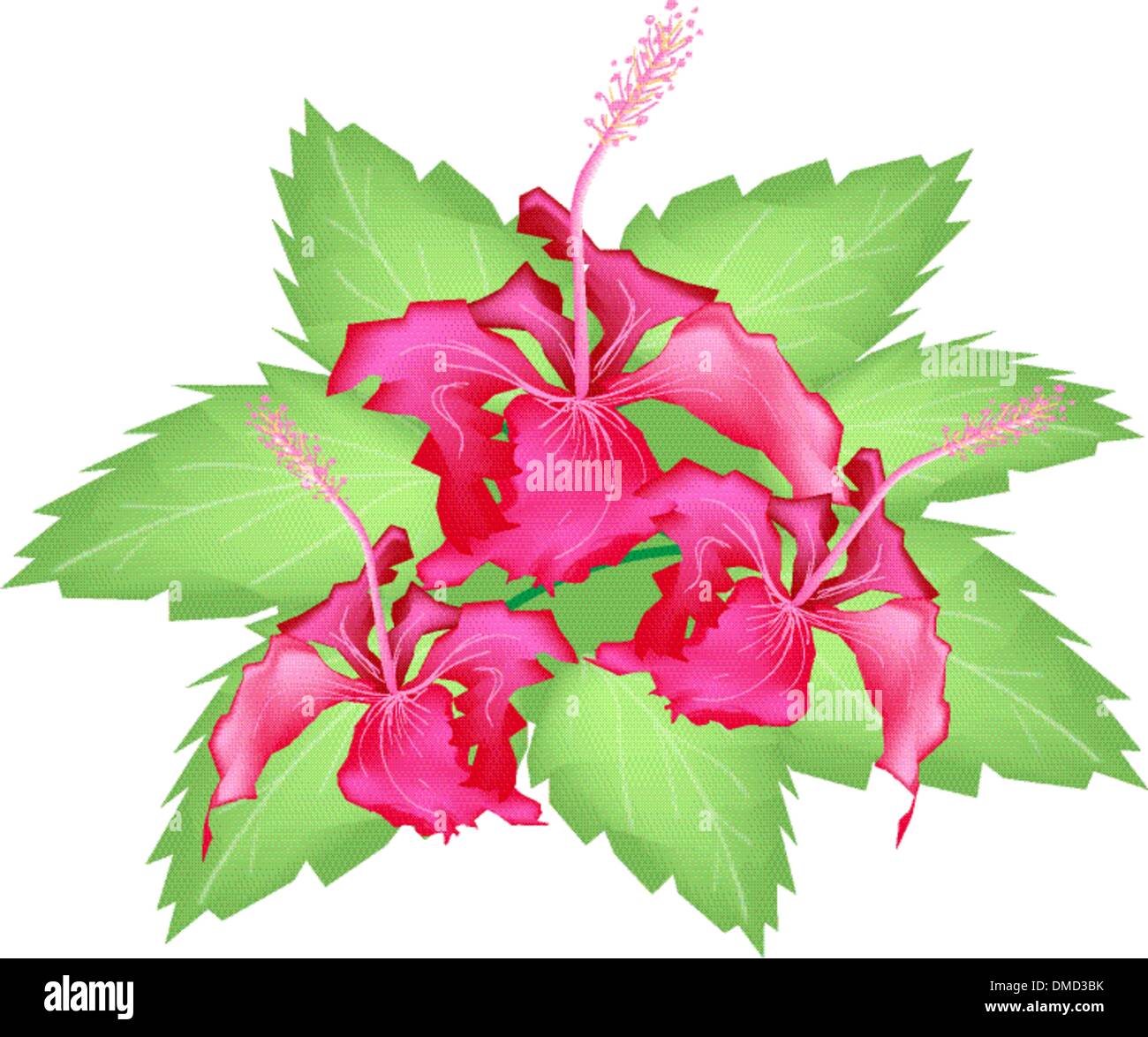Flora malaysia Stock Vector Images - Alamy