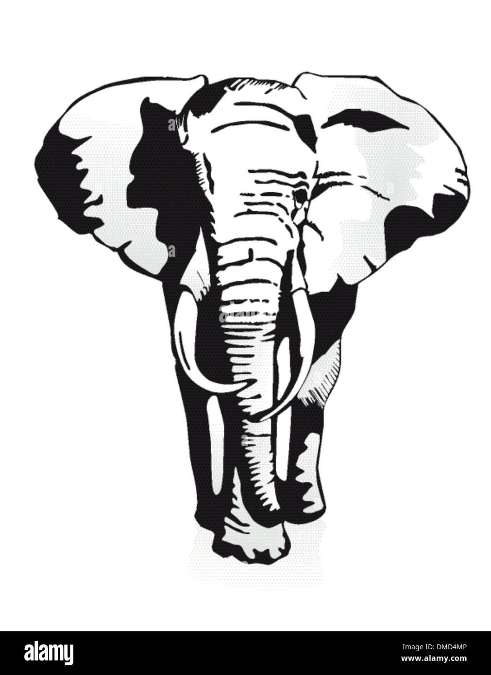 Elephant Front View Stencil