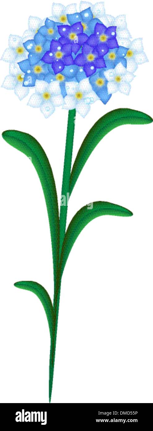 Forget flowers blooming in Stock Vector Images - Alamy