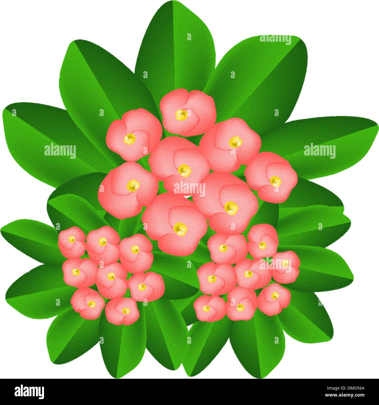 Blooming crown Stock Vector Images - Alamy