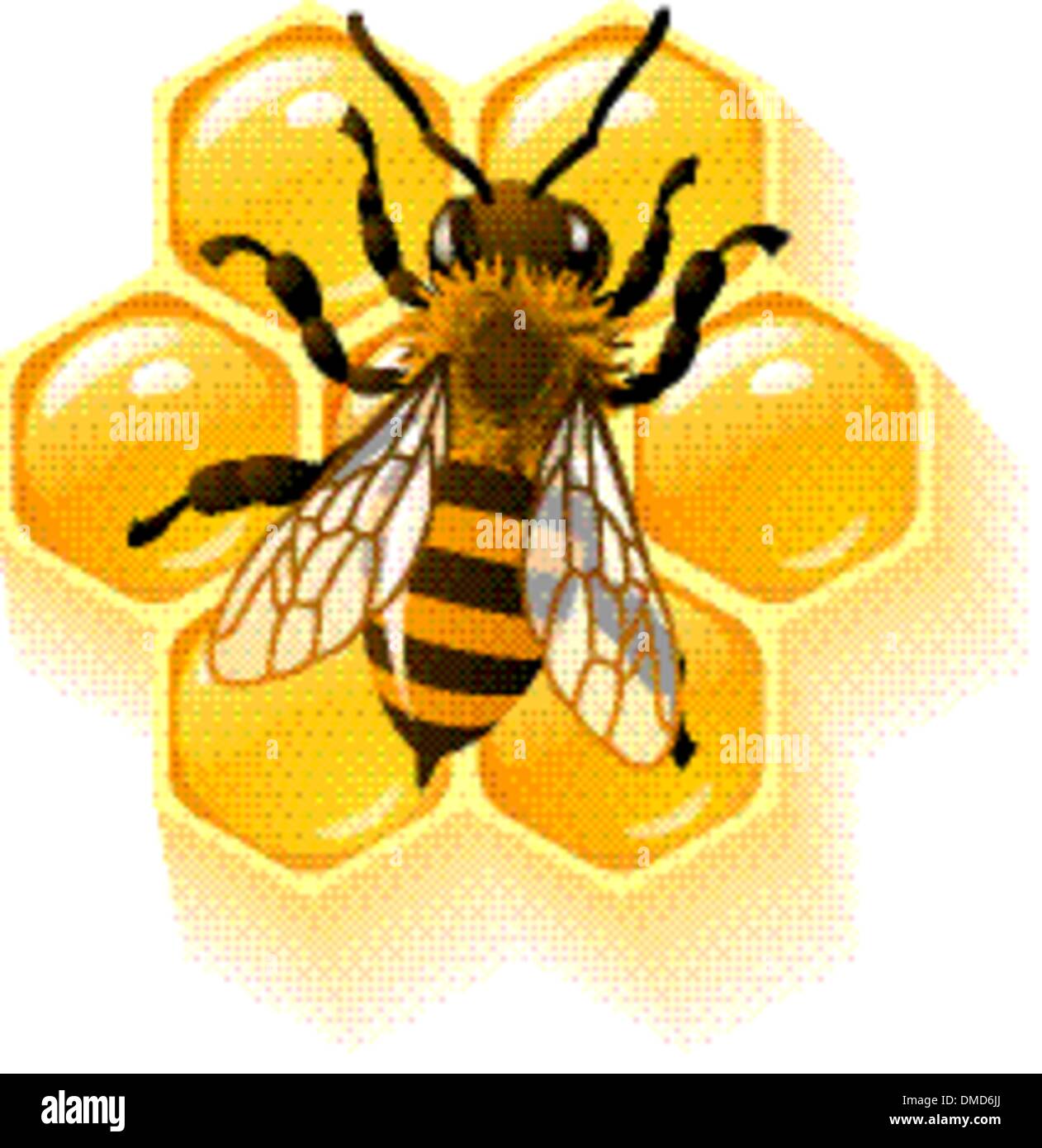 Yellow wasp Stock Vector Images - Alamy