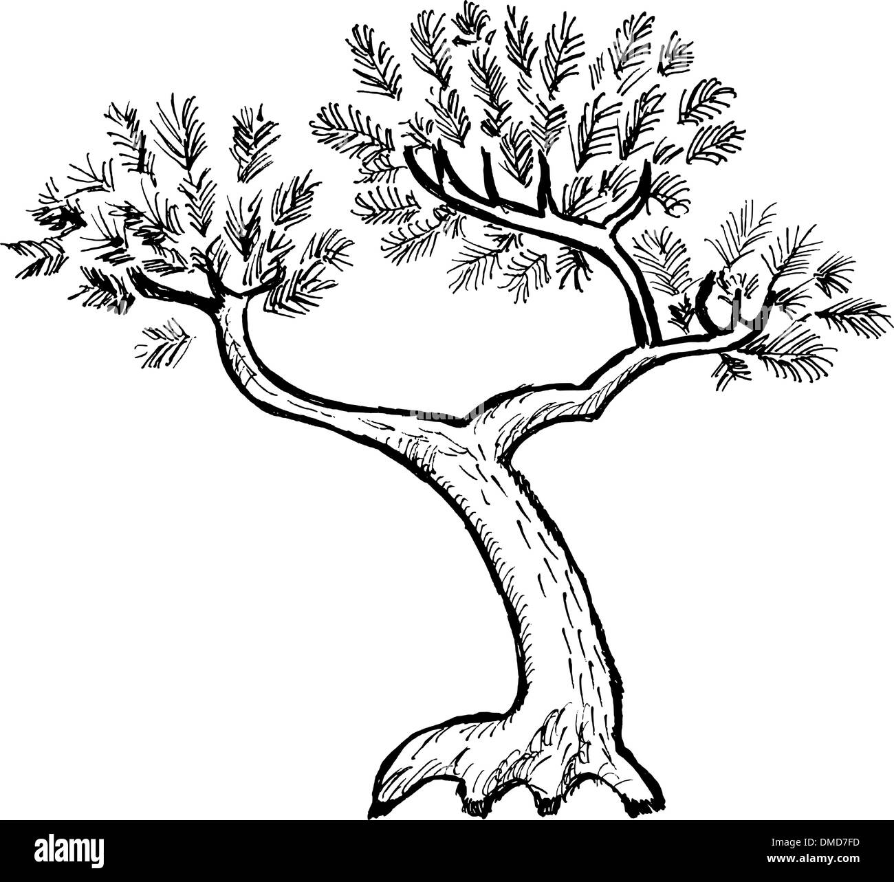 Cartoon vegetation of woods or forest isolated tree Stock Vector Images ...