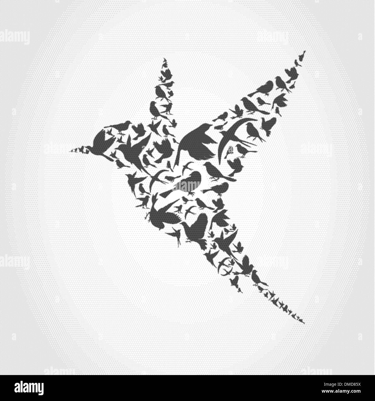 Signature animal Black and White Stock Photos & Images - Alamy