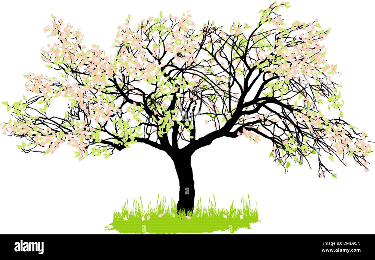 Spring in the orchard Stock Vector Images - Alamy