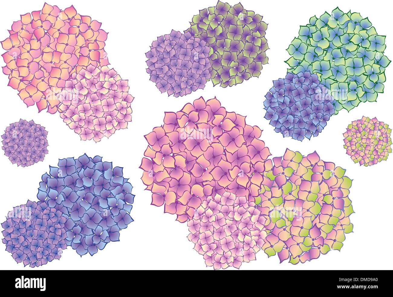 colorful hydrangea flowers, vector set Stock Vector Image & Art - Alamy
