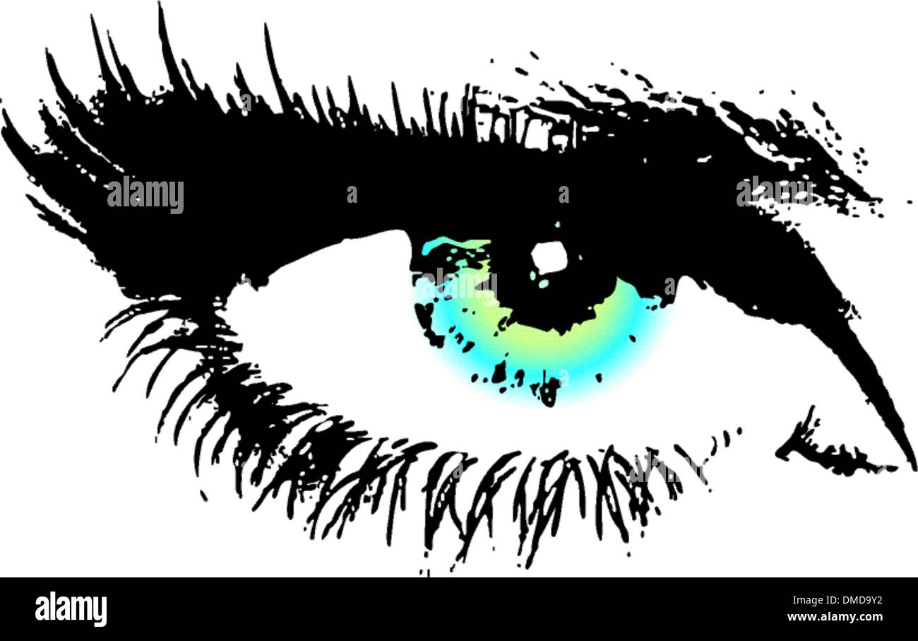 Eye woman anatomy Stock Vector Images - Alamy