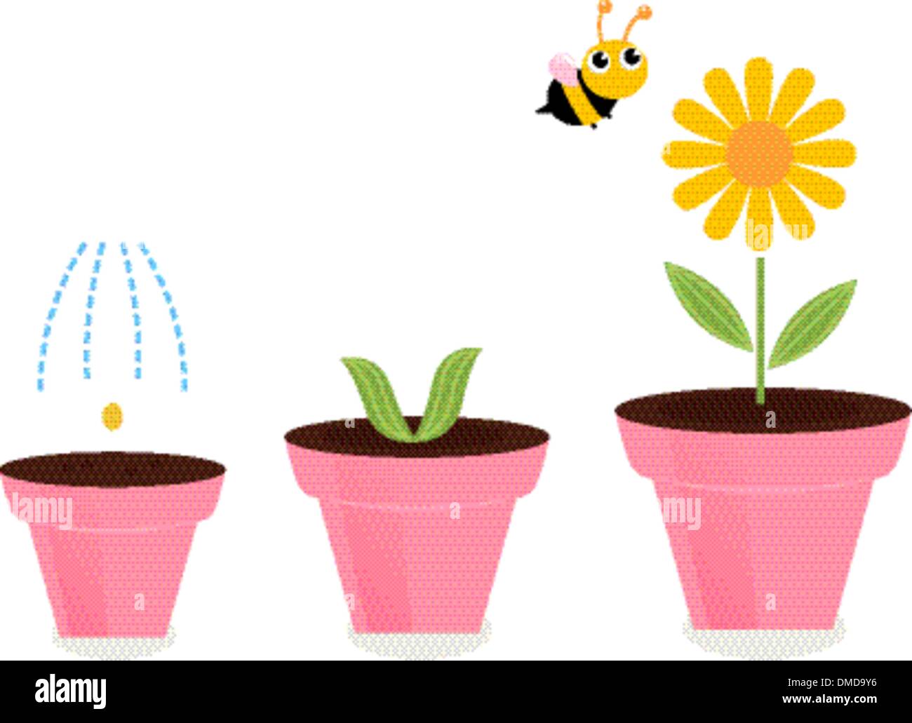 Flower in pots growth stages isolated on white Stock Vector Image & Art ...